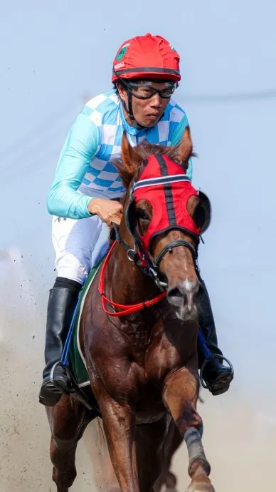 Melihat Lebih Dekat King Halim Stable, Kandang Prince Loupan