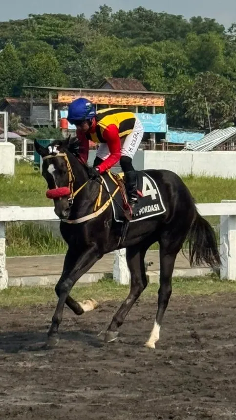 Kemenangan Paco Eclipse Buka IHR Kejurnas Pacuan Kuda Pordasi