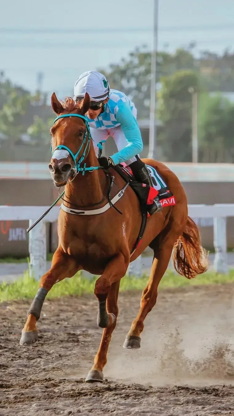 IHR Kejurnas Pacuan Kuda Pordasi Seri II 2025: Princes Gavi Raja