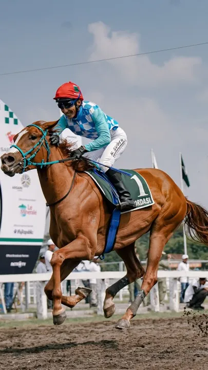 Cerita di Balik Nama Kuda-Kuda King Halim Stable, yang Lagi