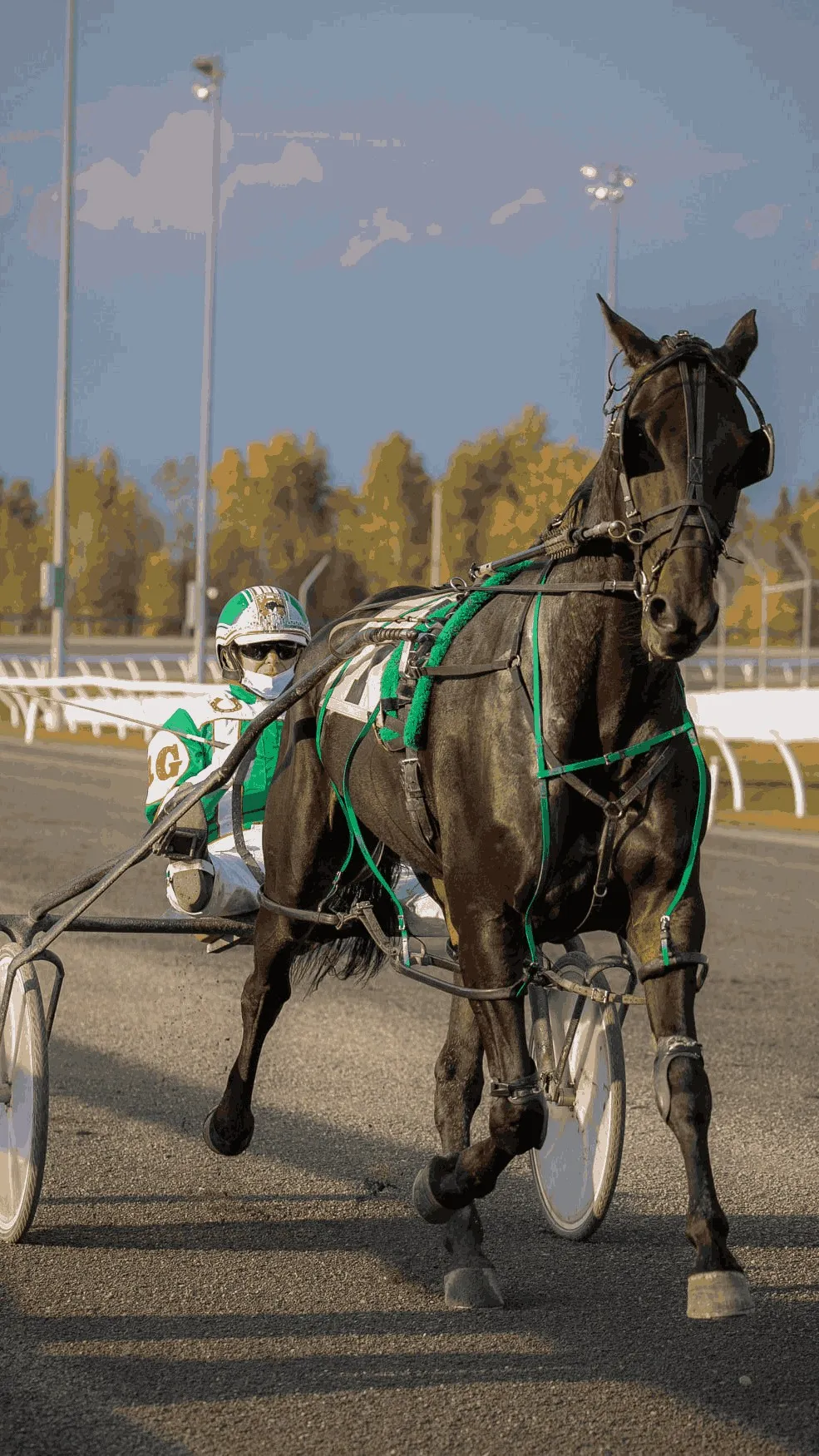 Beda dengan Pacuan Kuda Biasa, Begini Mekanisme Harness Racing!