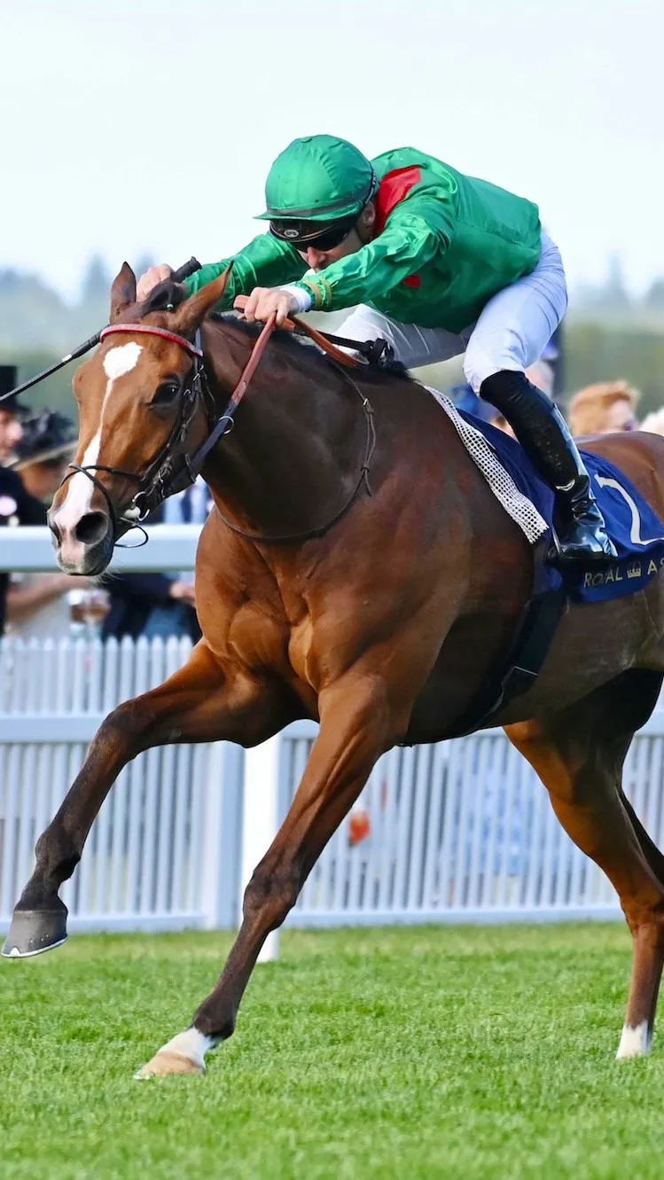 Raja Baru Pacuan Kuda Eropa: Calandagan Horse of the Year 2025