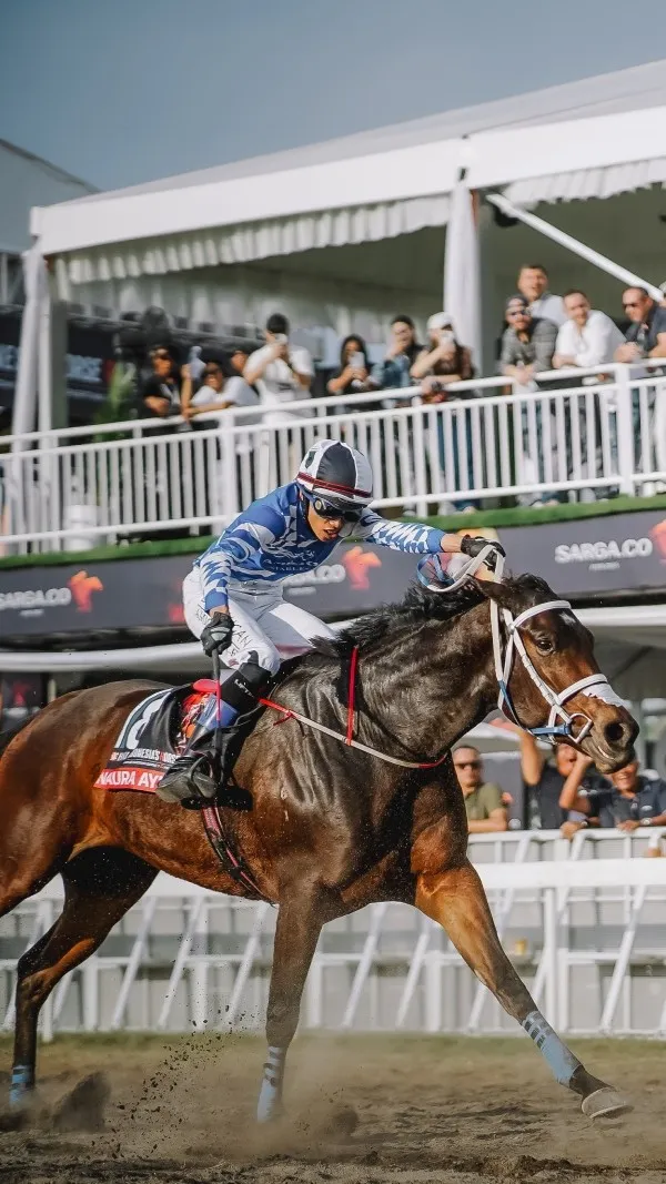 Mengenal Warna-Warna Kuda Pacu: Jragem, Napas dan Dawuk