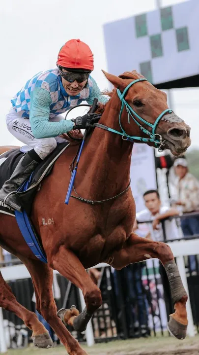 Awas Terkecoh! Ini Beda Warna Kuda Merah, Napas, dan Jragem