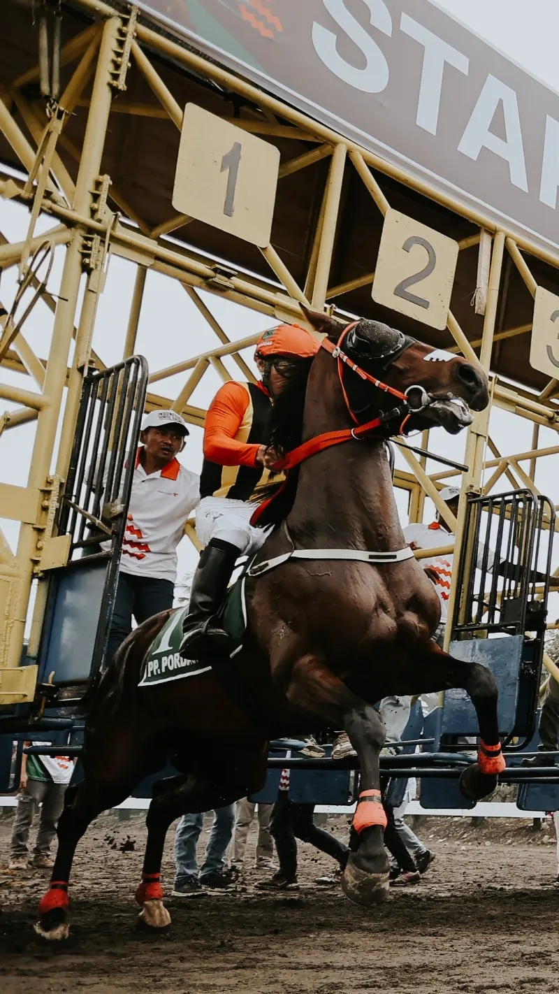 Hasil Lengkap Drawing IHR Piala Raja Hamengku Buwono X 2025: Cek