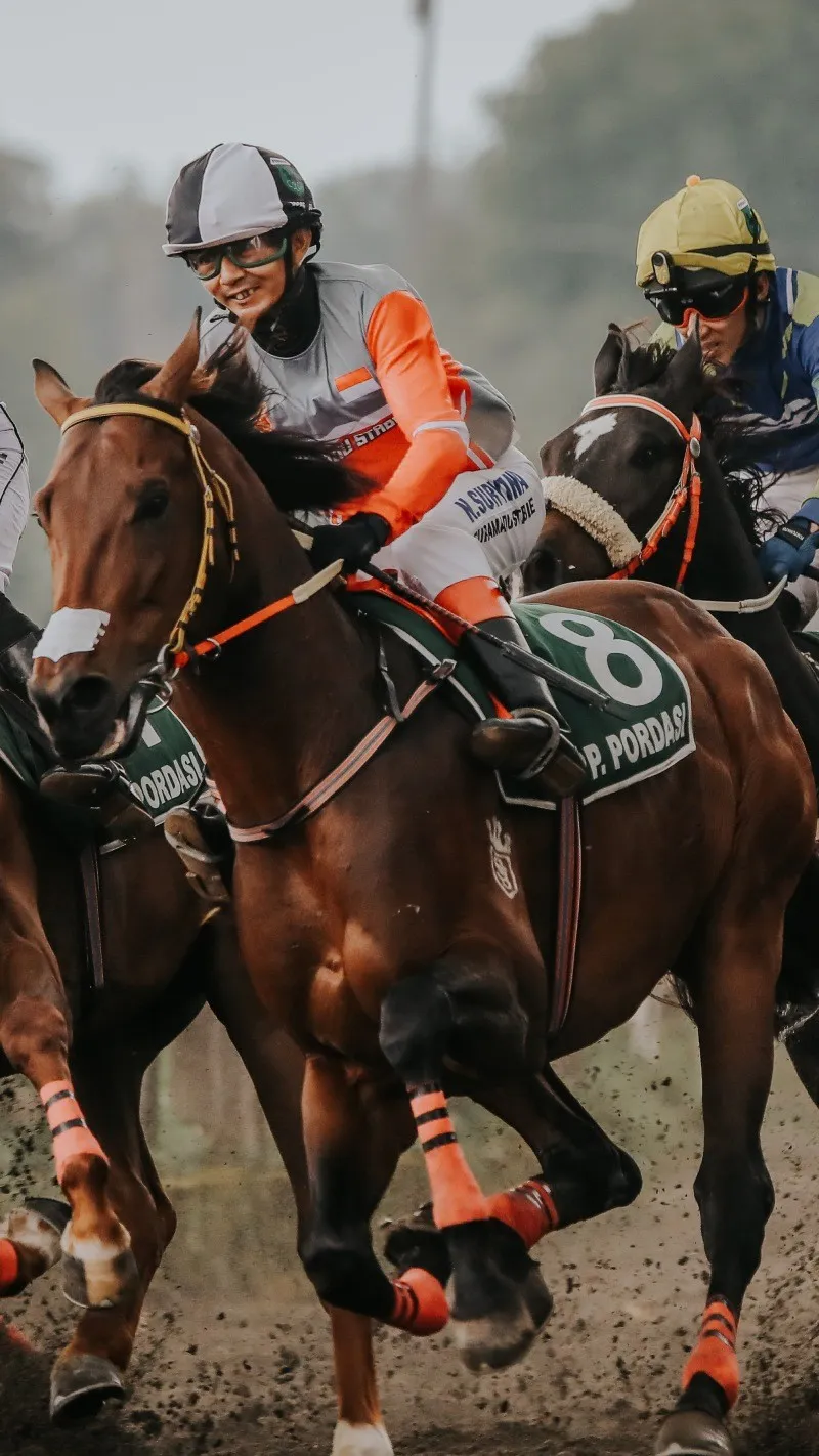 5 Lelang Kuda Termahal Sejagat, Salah Satunya Berakhir Tragis