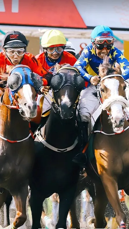 131 Kuda Adu Cepat di Indonesia's Horse Racing Cup 2025, Hadiah