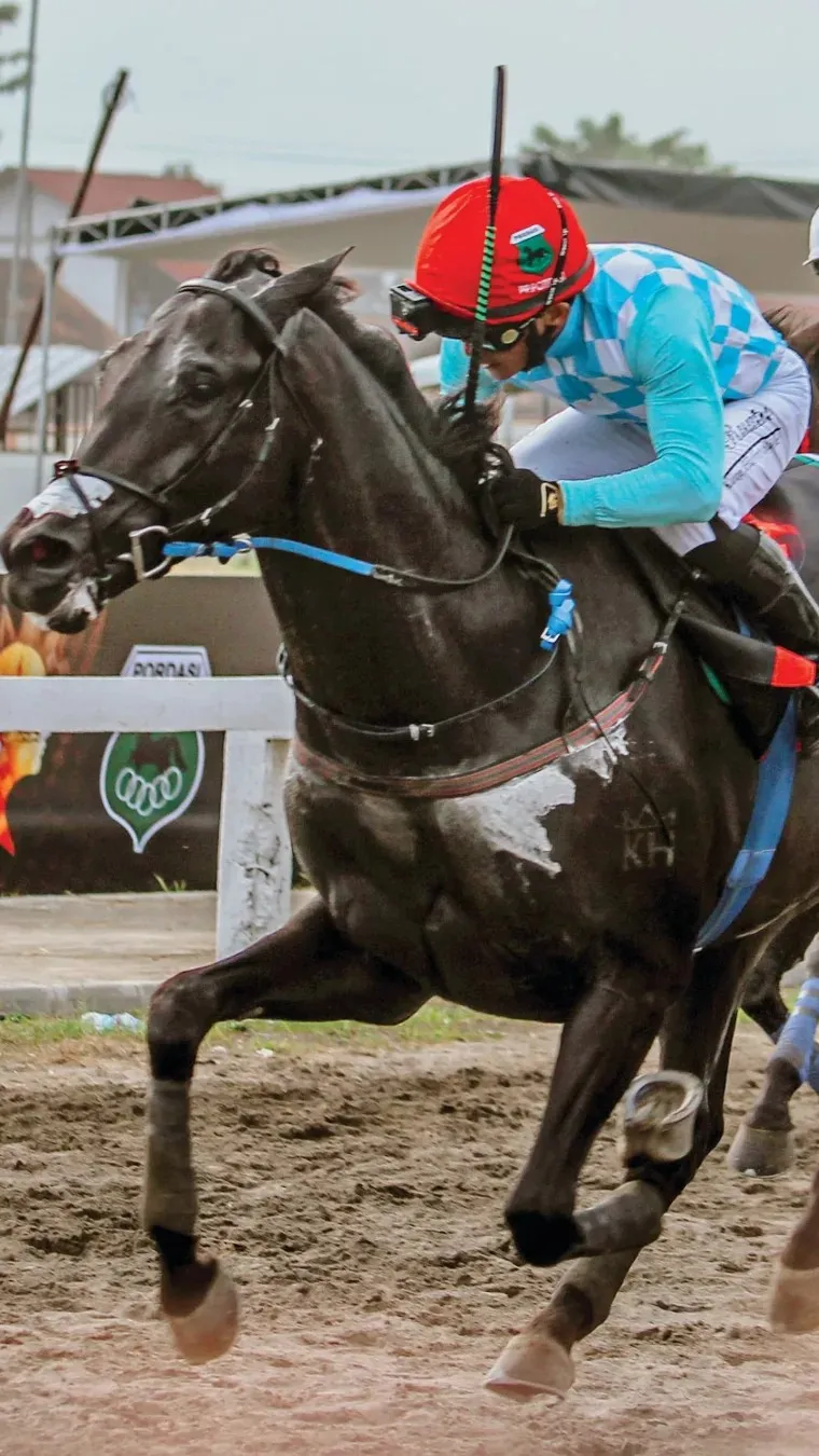 King Halim Stable: Si Raja Pacuan Kuda yang Siap Ukir Sejarah