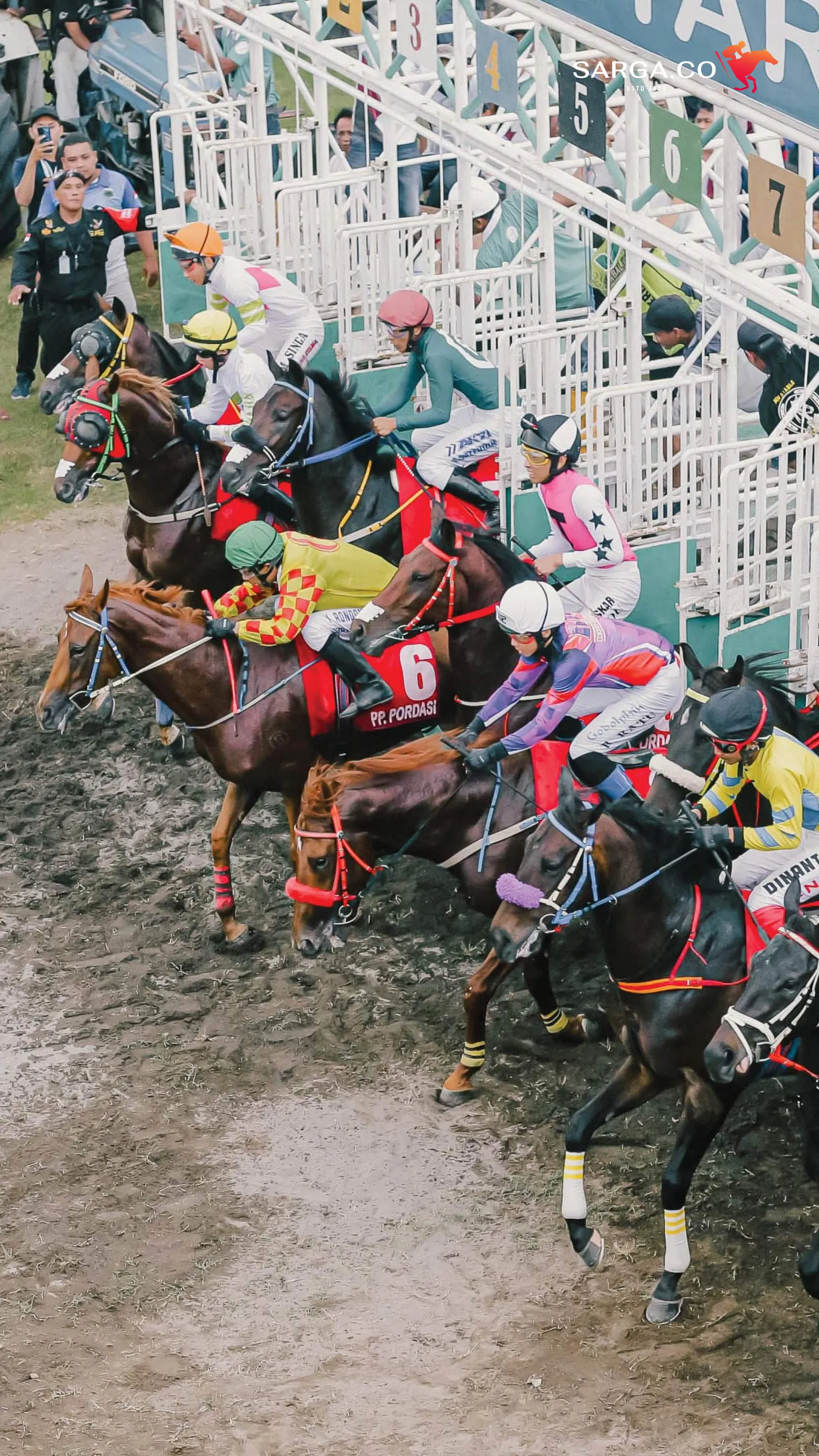 Fakta Mengejutkan! Ukuran Tubuh Jadi Kunci Kecepatan Kuda Pacu