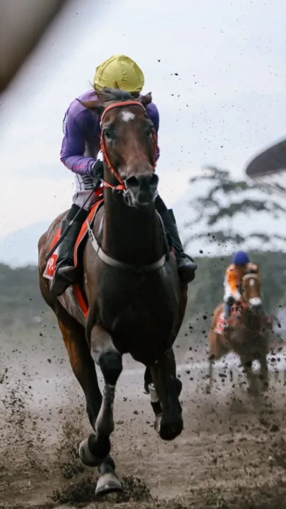 Apakah Nama Kuda Pacu Bisa Diganti? Ini Penjelasannya