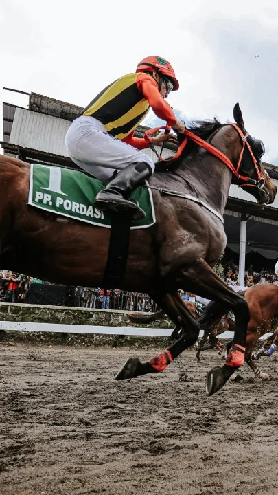 Fakta Menarik di Balik Kekuatan Tendangan Kuda Pacu, Setara 1