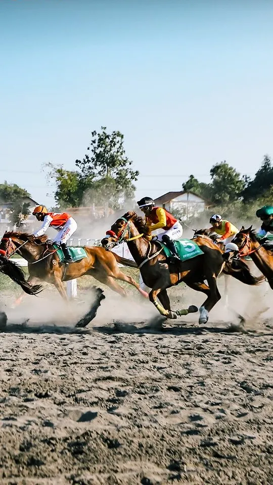 Kalau Zodiak Kamu Jadi Kuda, Kayak Apa Gayanya di Lintasan