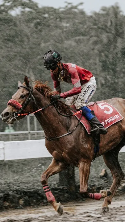 5 Hal yang Harus Dipelajari Sebelum Jadi Pemilik Kuda Pacu