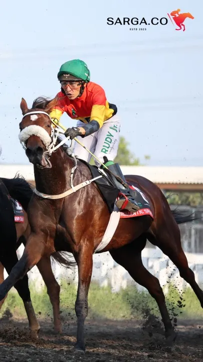 Uma Musume Versi Nusantara: Princess Gavi VS Romantic Spartan,