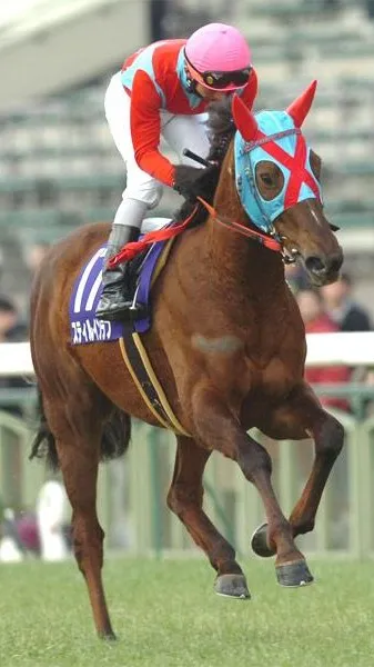 Still in Love, Sang Ratu Triple Tiara yang Hidup Kembali di