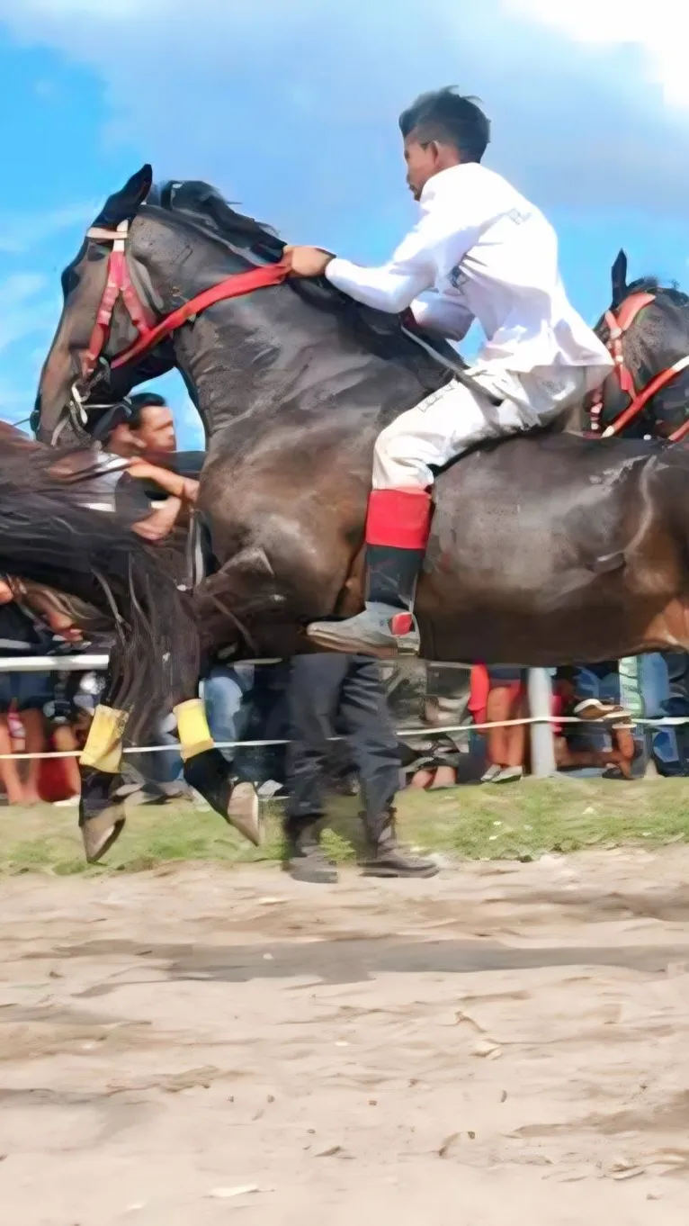 Fakta Unik Tradisi Pacu Kude Suku Gayo: Adu Kecepatan Para Joki