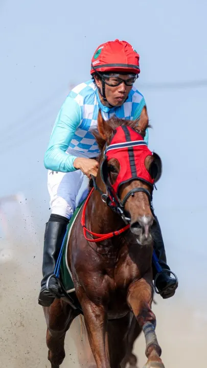 Potret Prince Loupan, Kuda Pacu Viral yang Disebut Mirip Gold