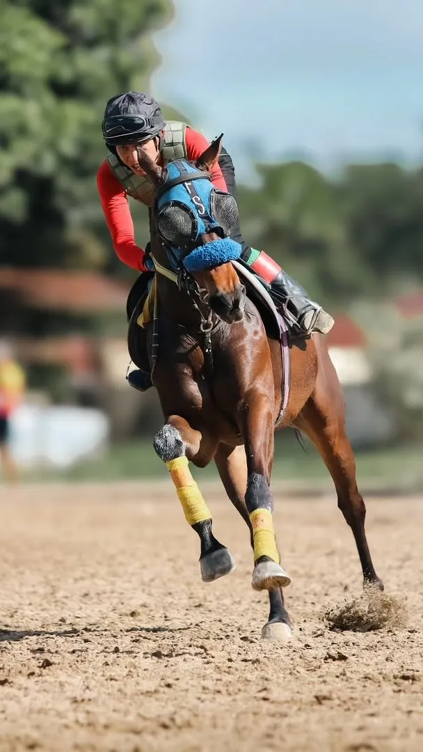 Menanti Aksi Duo Kuda Pacu Betina: Emmera dan Volcanic Siap