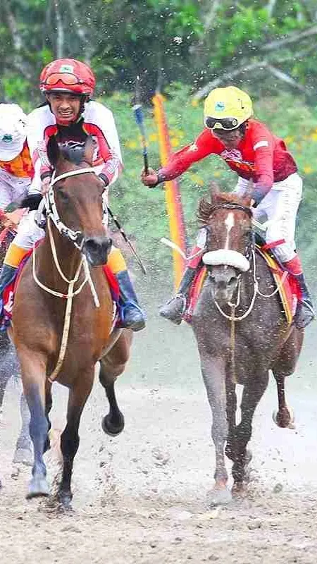 Pacu Kudo, Sejarah dan Tradisi Pacuan Kuda di Ranah Sumatera