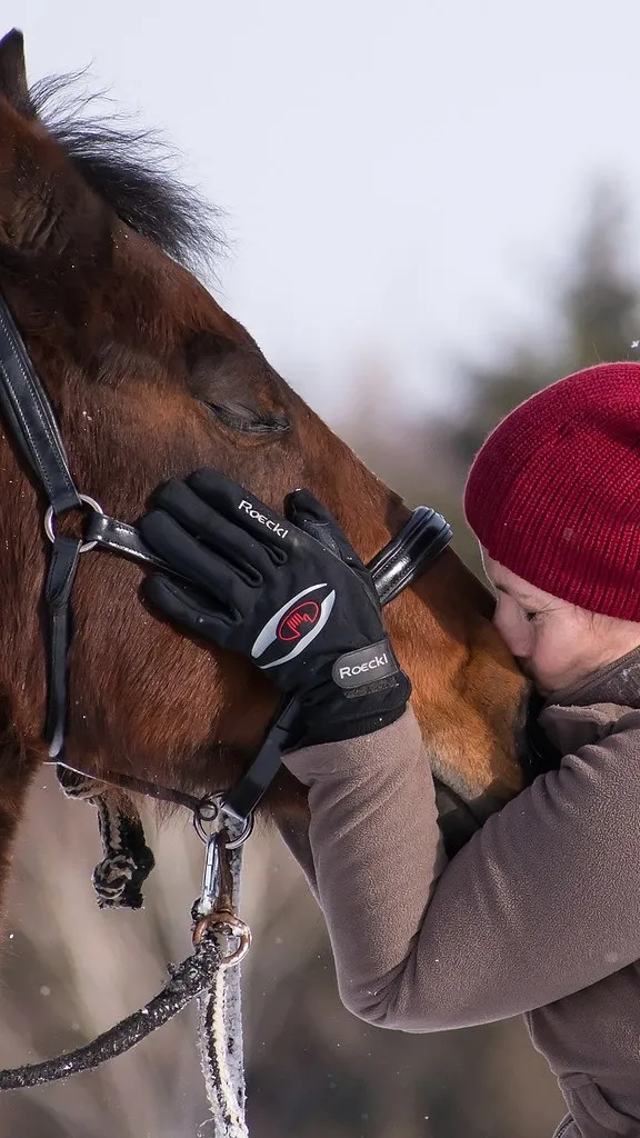 Kekuatan `Tak Terlihat` Seekor Kuda Bisa Bantu Proses