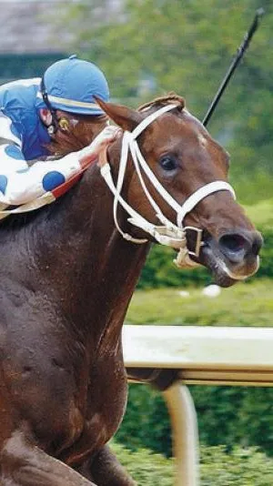 Kisah Kuda Pacu Smarty Jones: Hampir Triple Crown, Namun Abadi