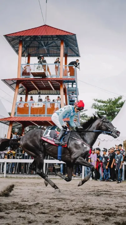 Kenapa Kuda Derby Harus Berusia Tiga Tahun?