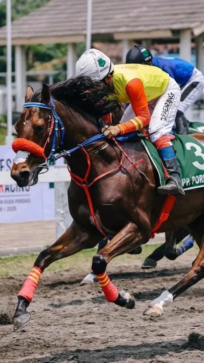 Mengenal Kelas Perdana, Gerbang Awal Karier Kuda Pacu Indonesia