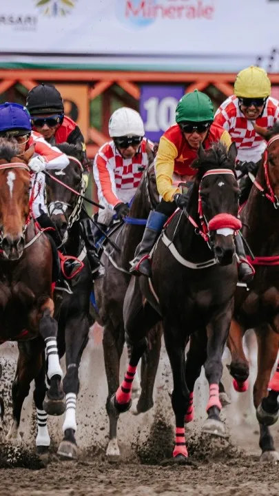 Penasaran Bagaimana Kuda Pacu Bisa Ikut Kejuaraan? Ini Proses