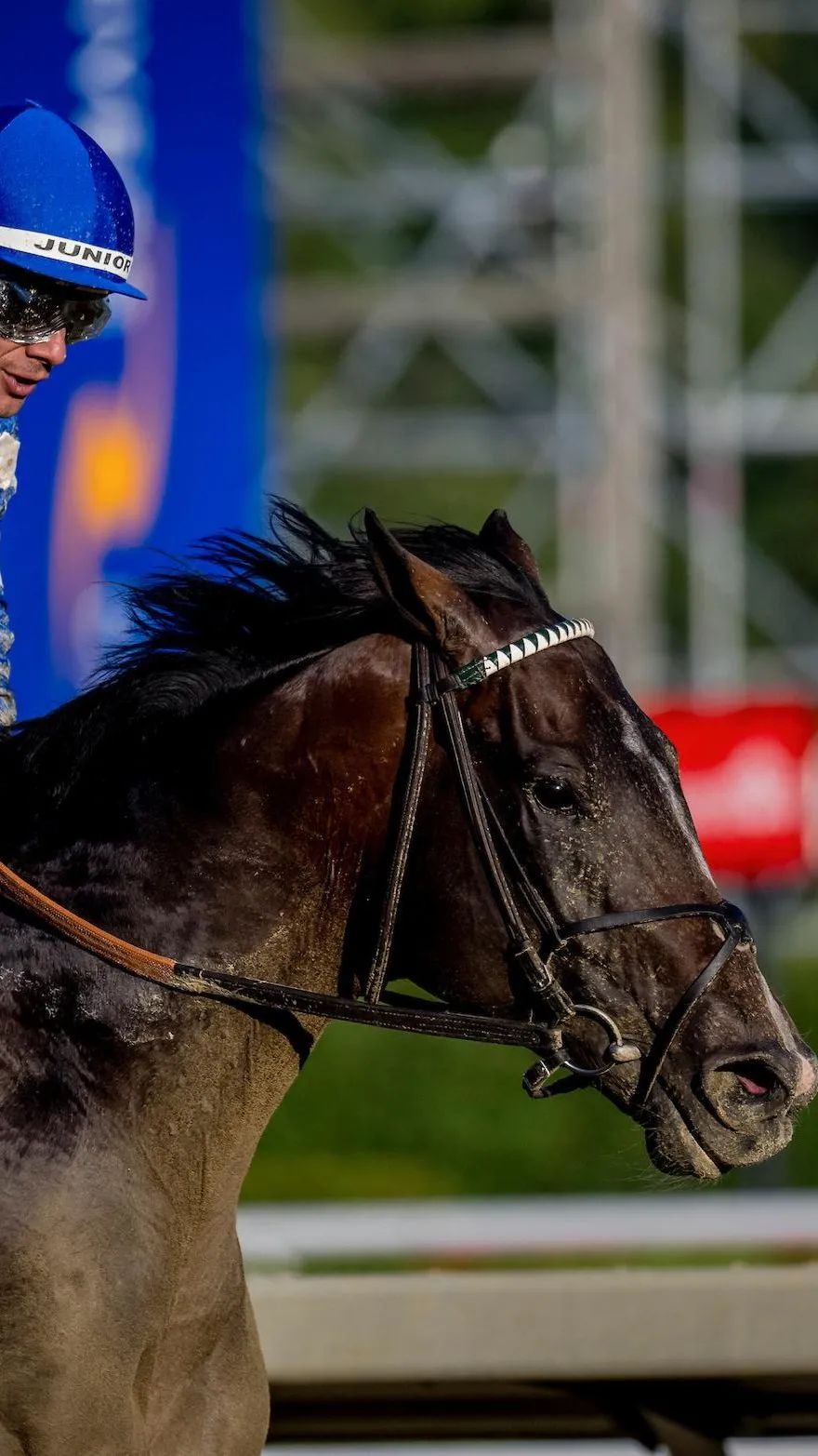 Sovereignty Dinobatkan ‘Horse of the Year’ 2025 di Eclipse